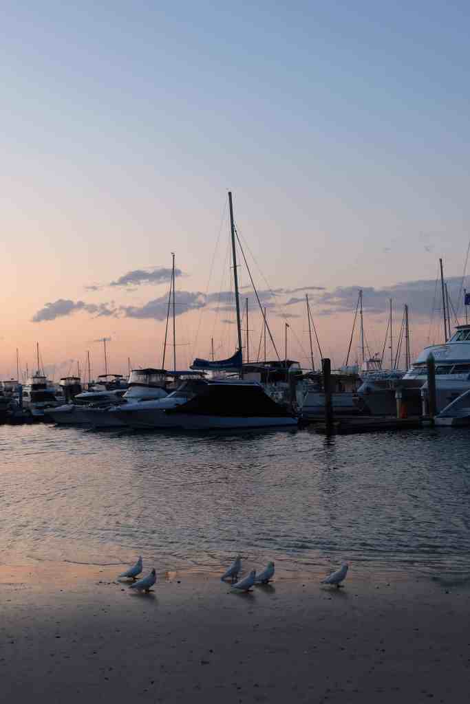 Ten Reasons We Need To Visit Nelson Bay, New South Wales, Again - This ...